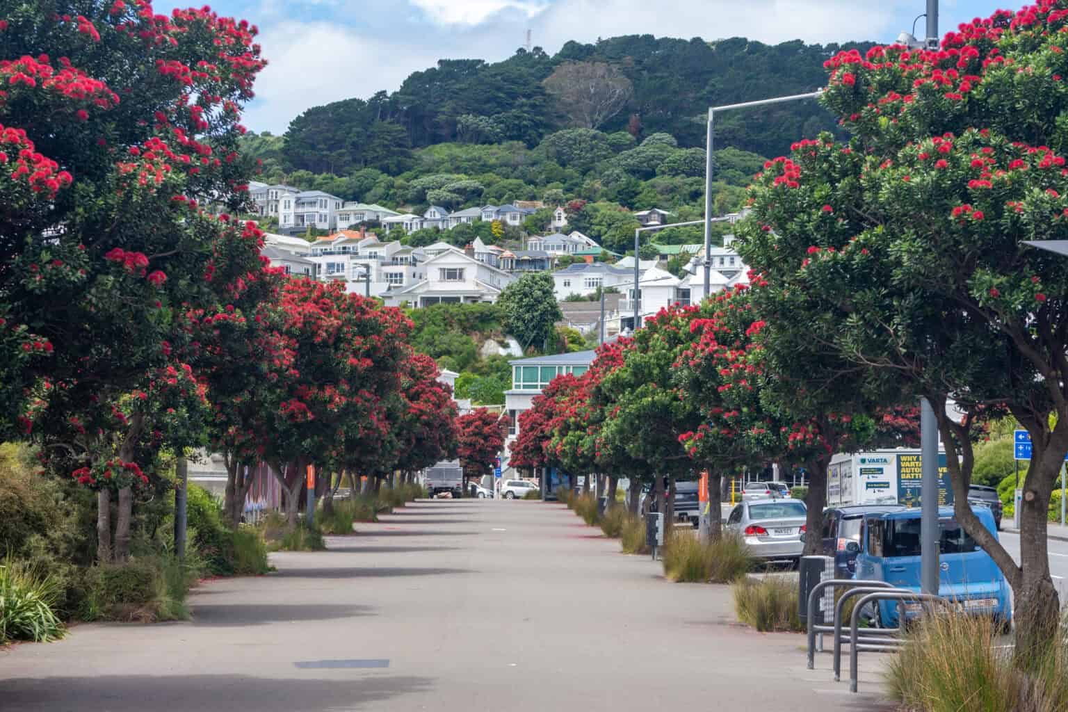 Que faire à Wellington et dans sa région - Voyagista