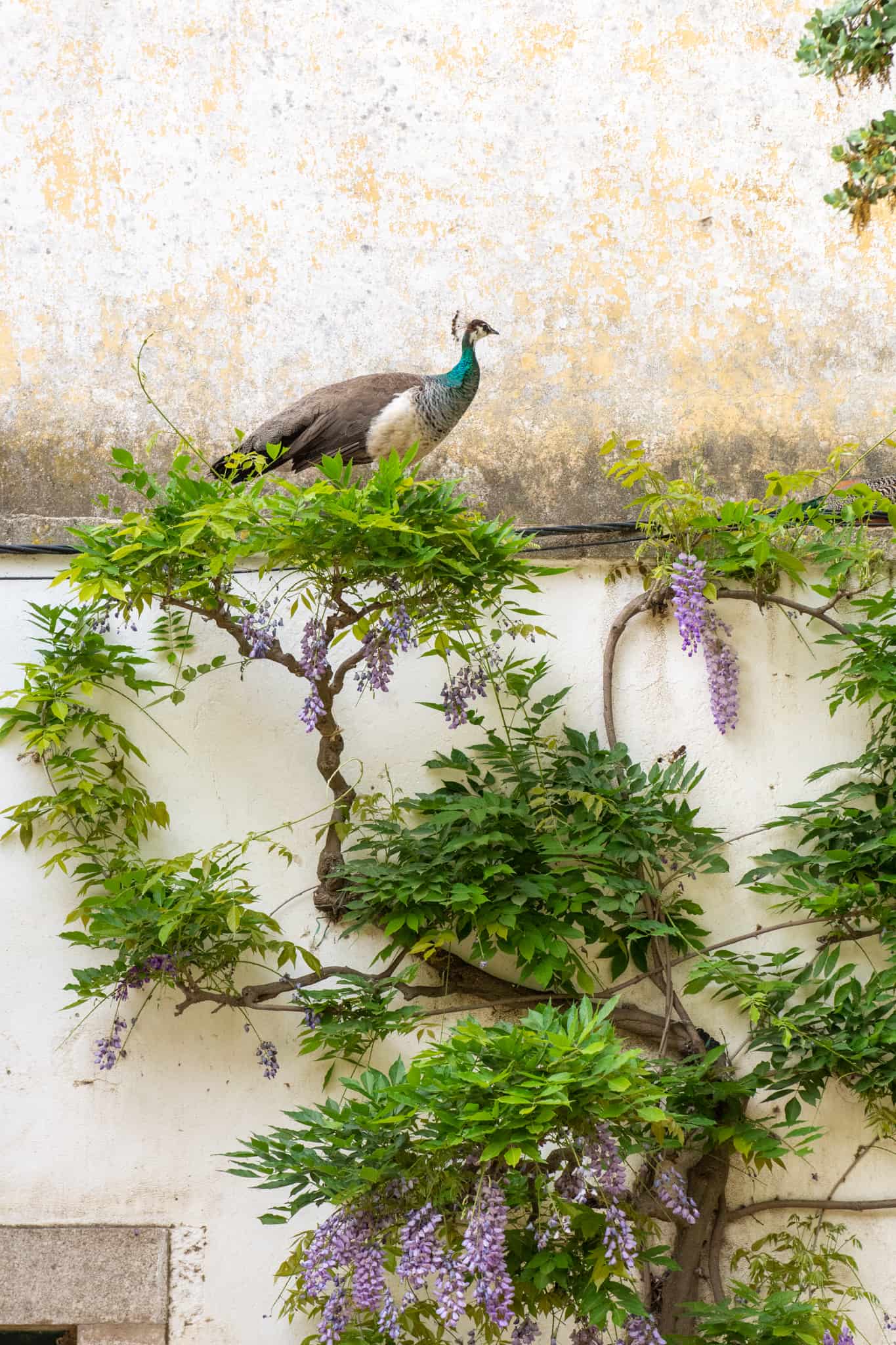 Que faire à Evora en une journée ? - Voyagista