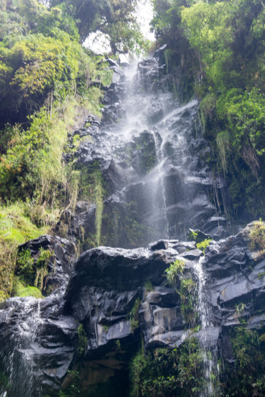 L’avenue des volcans : Cotopaxi et la lagune de Quilotoa - Voyagista