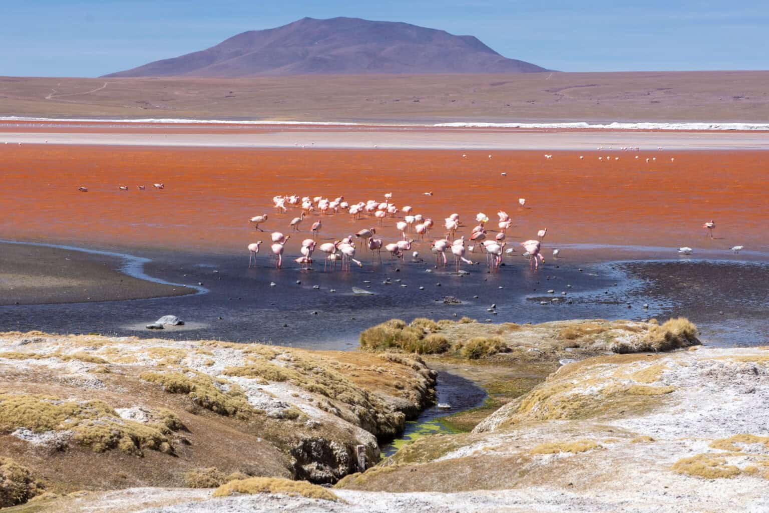 Guide Salar d'Uyuni et Sud Lipez