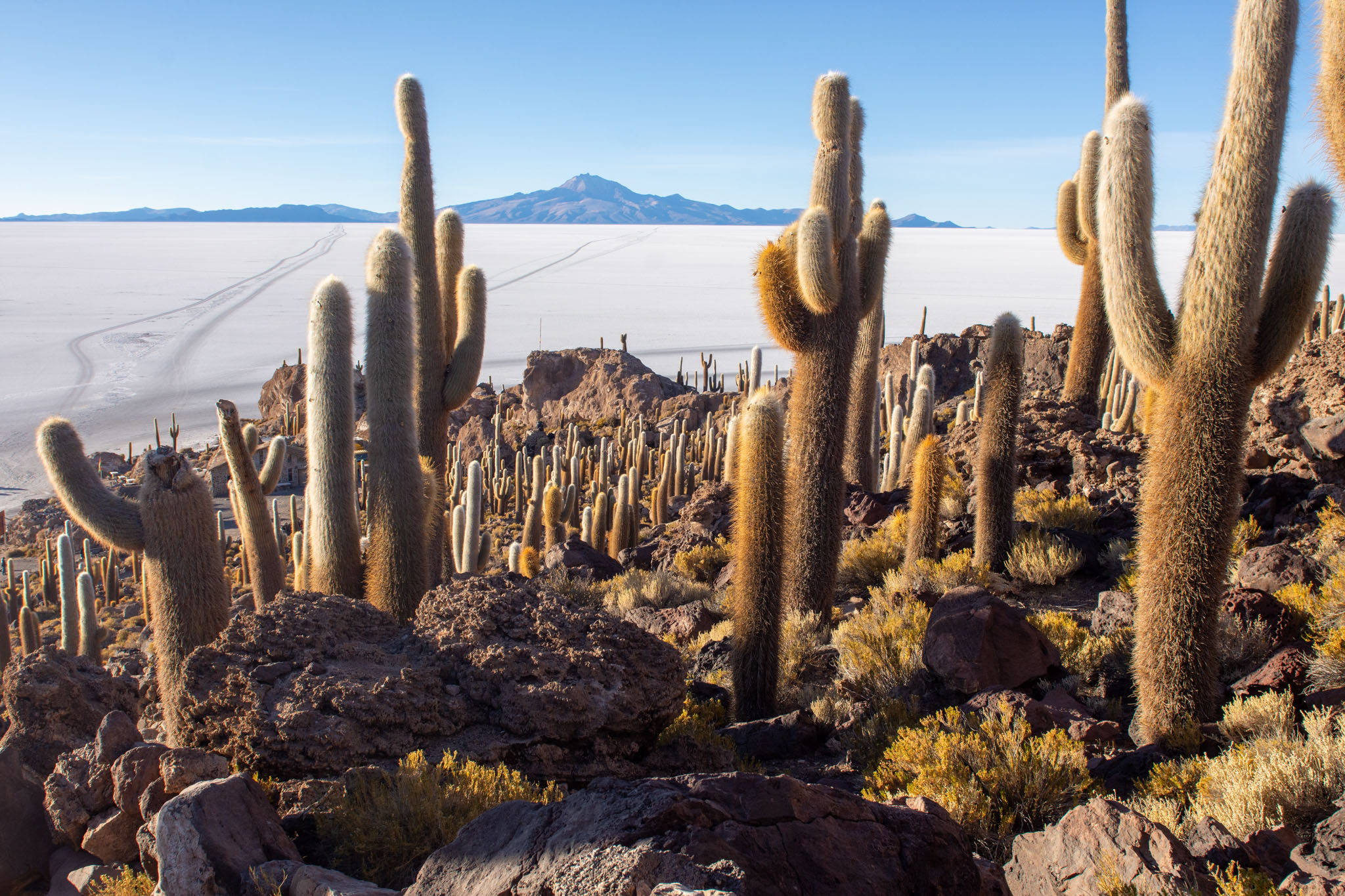 Guide Salar d'Uyuni et Sud Lipez